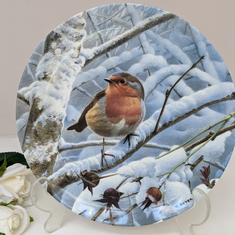 Robin Plates - Etsy UK