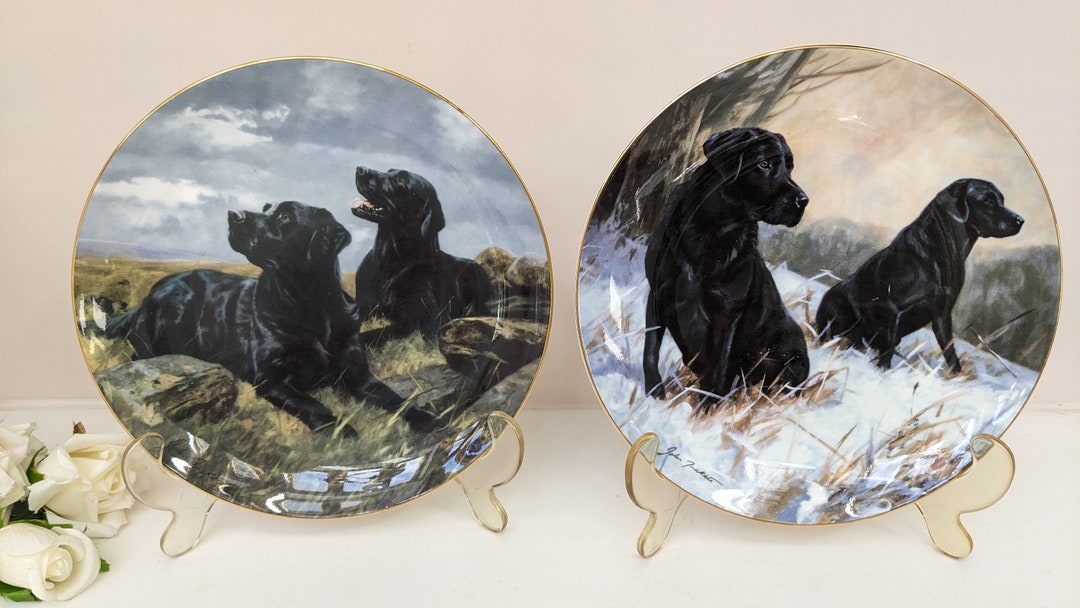 Black Labrador Plate, Royal Doulton, Ready to Go, Winter Watch, Gift ...