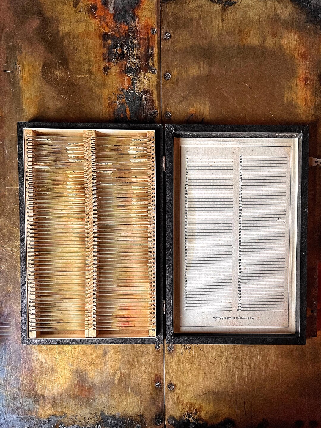 Vintage Medical Specimen Microscope Slides, Science Collectibles ...