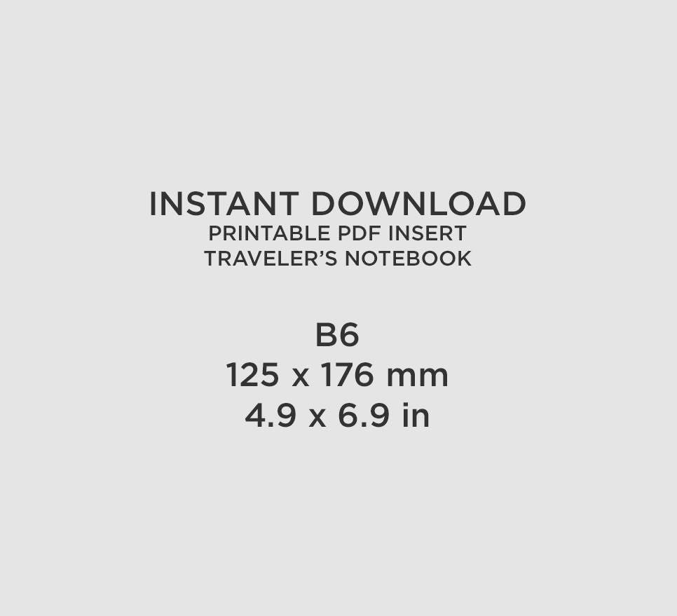 B6 DAILY View Schedule Traveler's Notebook Printable - Etsy