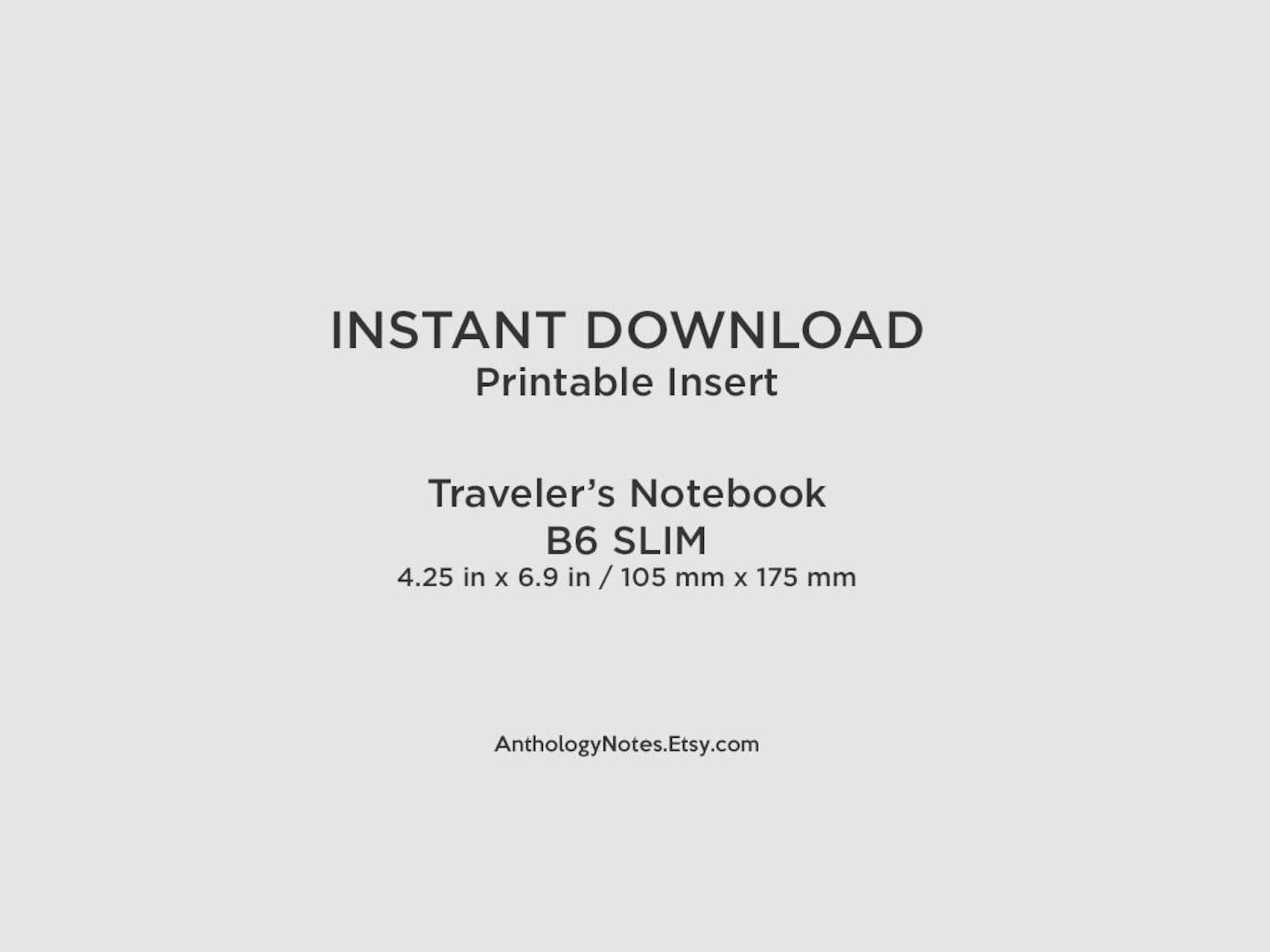 B6 Slim 100 Days Planner Traveler's Notebook 100 Days Goal Tracking ...