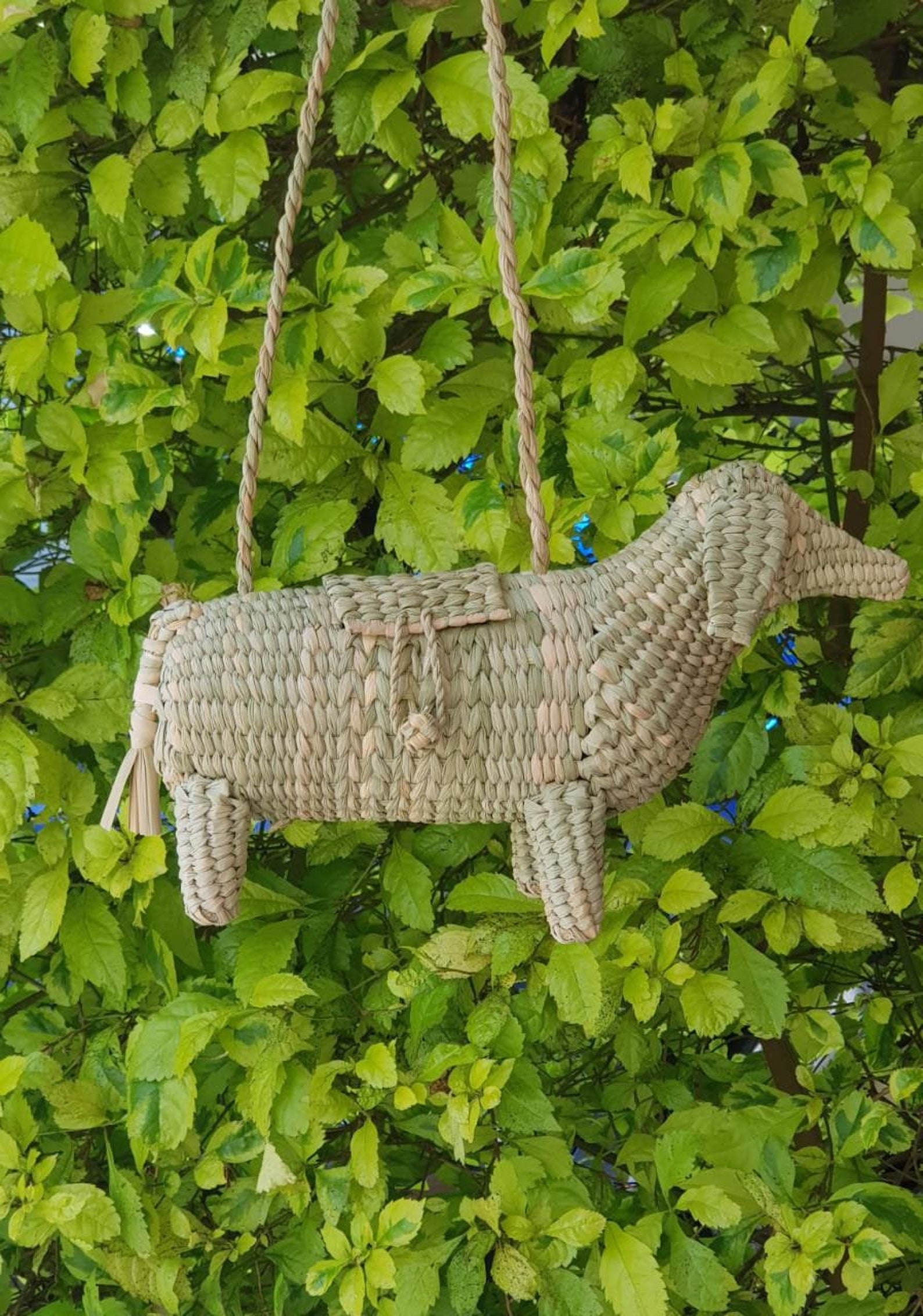Dog Wicker Bag Dog Palm Bag Dachshund Sausage Dog Bag - Etsy