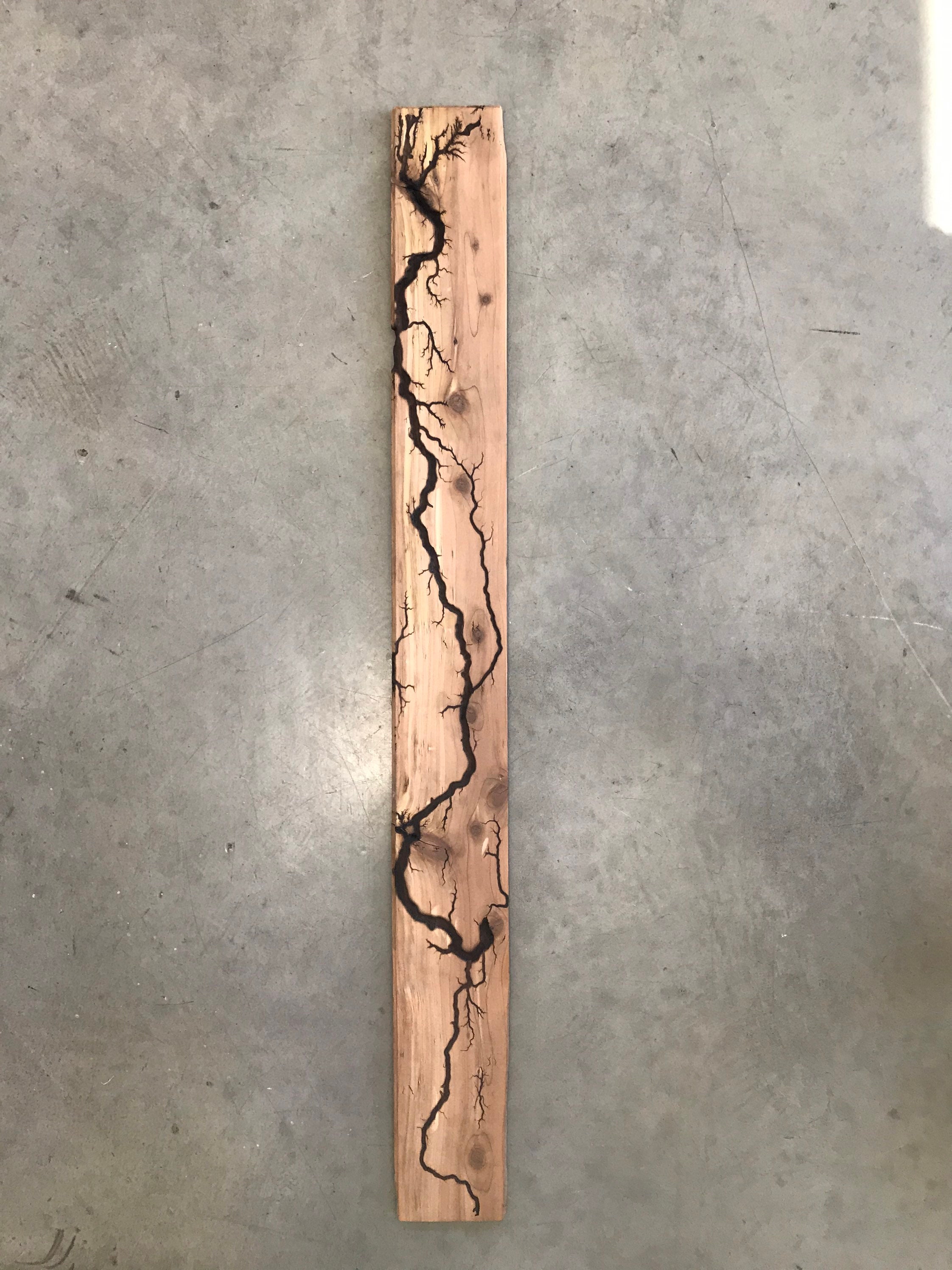 Lichtenberg Electrocuted Wood Fractile Cedar Wall Art - Etsy