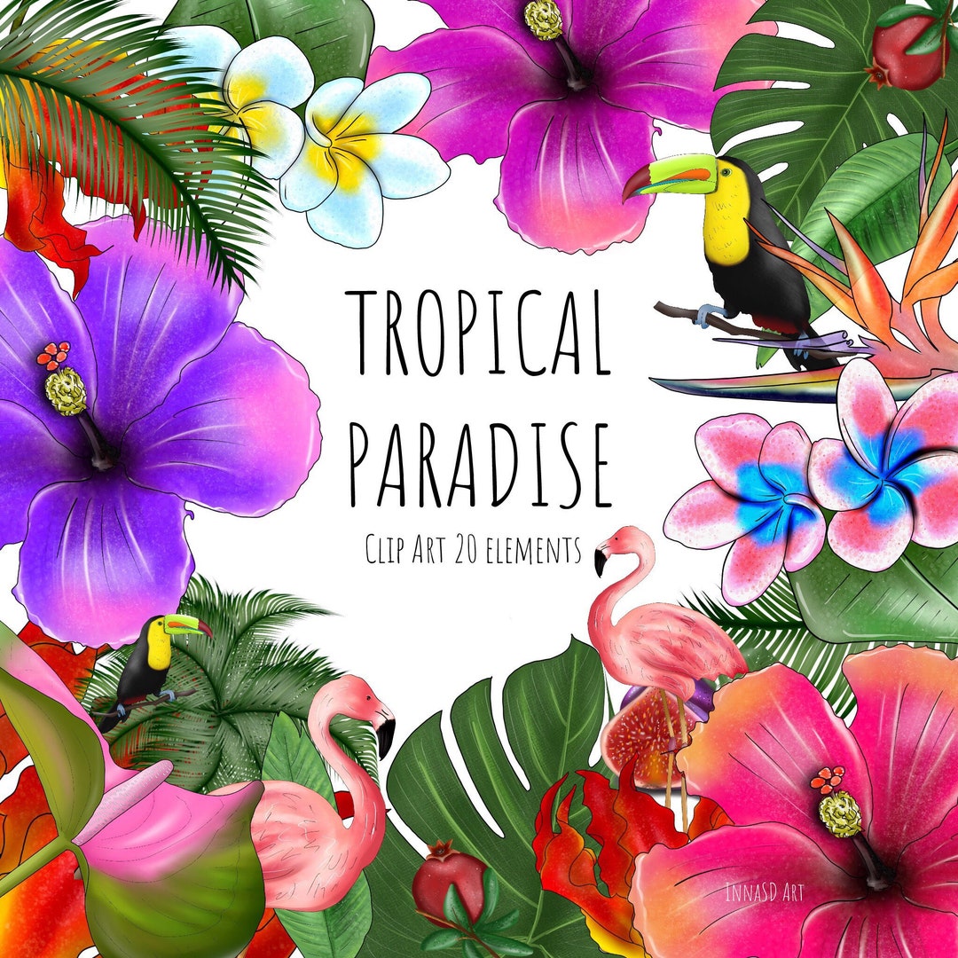 Digital Floral Clipart, Tropical Clipart, Paradise Beach Clipart ...