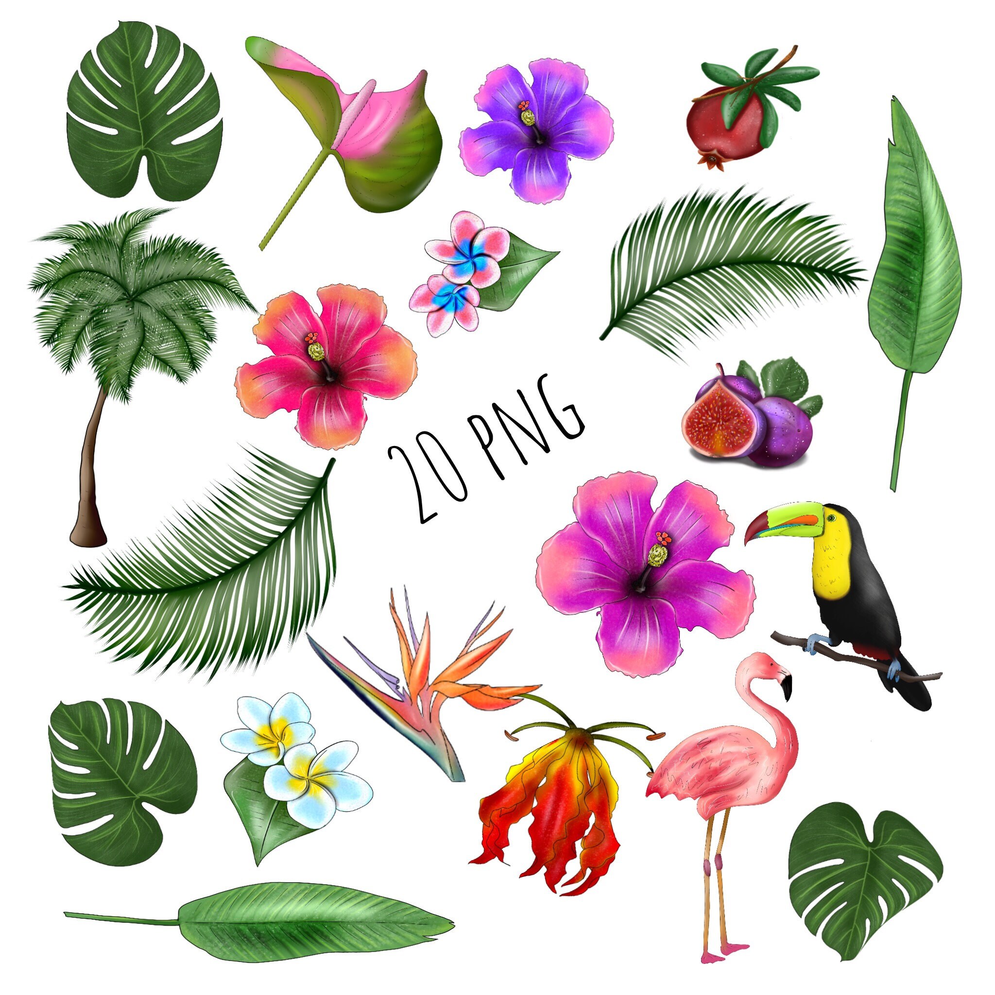 Digital Floral Clipart, Tropical Clipart, Paradise Beach Clipart ...
