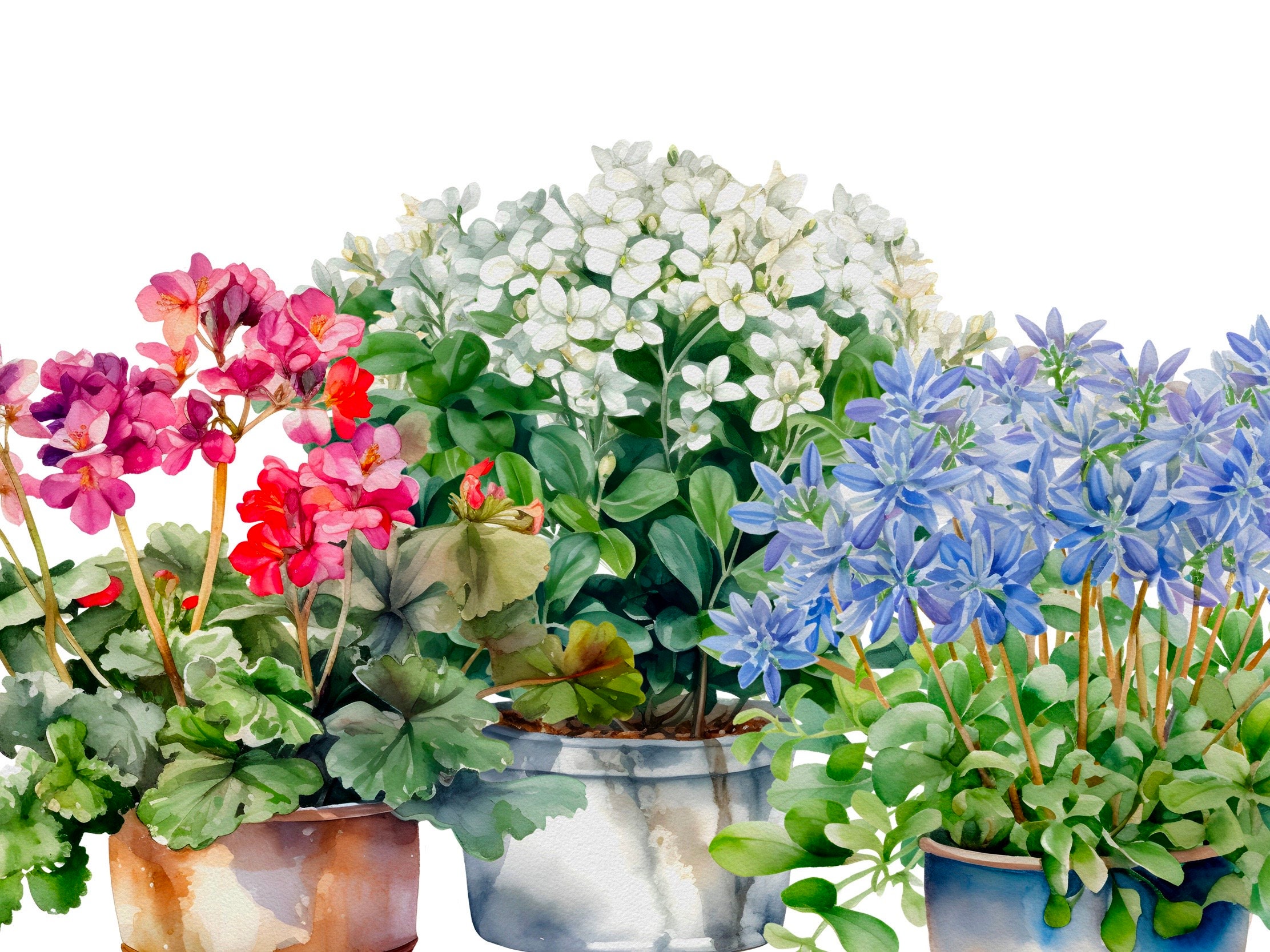 Flower Pot Clip Art, Watercolour Floral Clip Art, Flowers Stickers ...