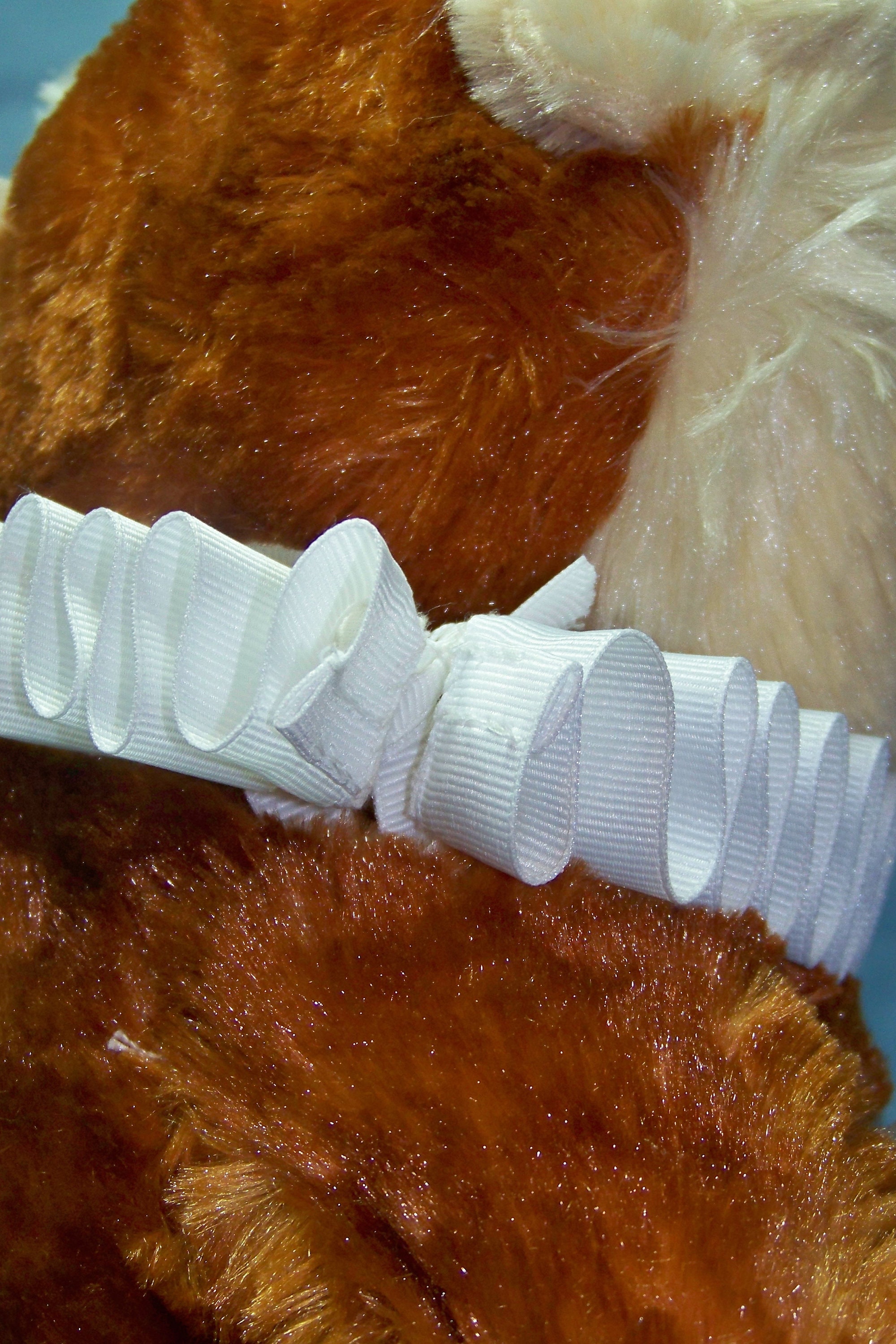 Pet Collar Small Neck Ruff Dog Cat Custom Renaissance - Etsy