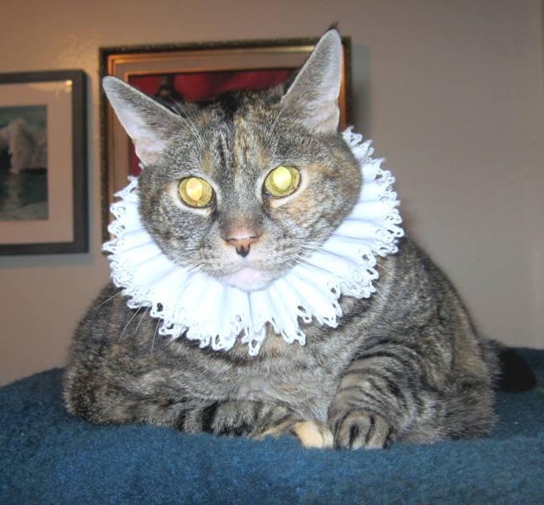 Pet Costume Neck Ruff Large Cat Dog Clown Custom Lace SCA | Etsy