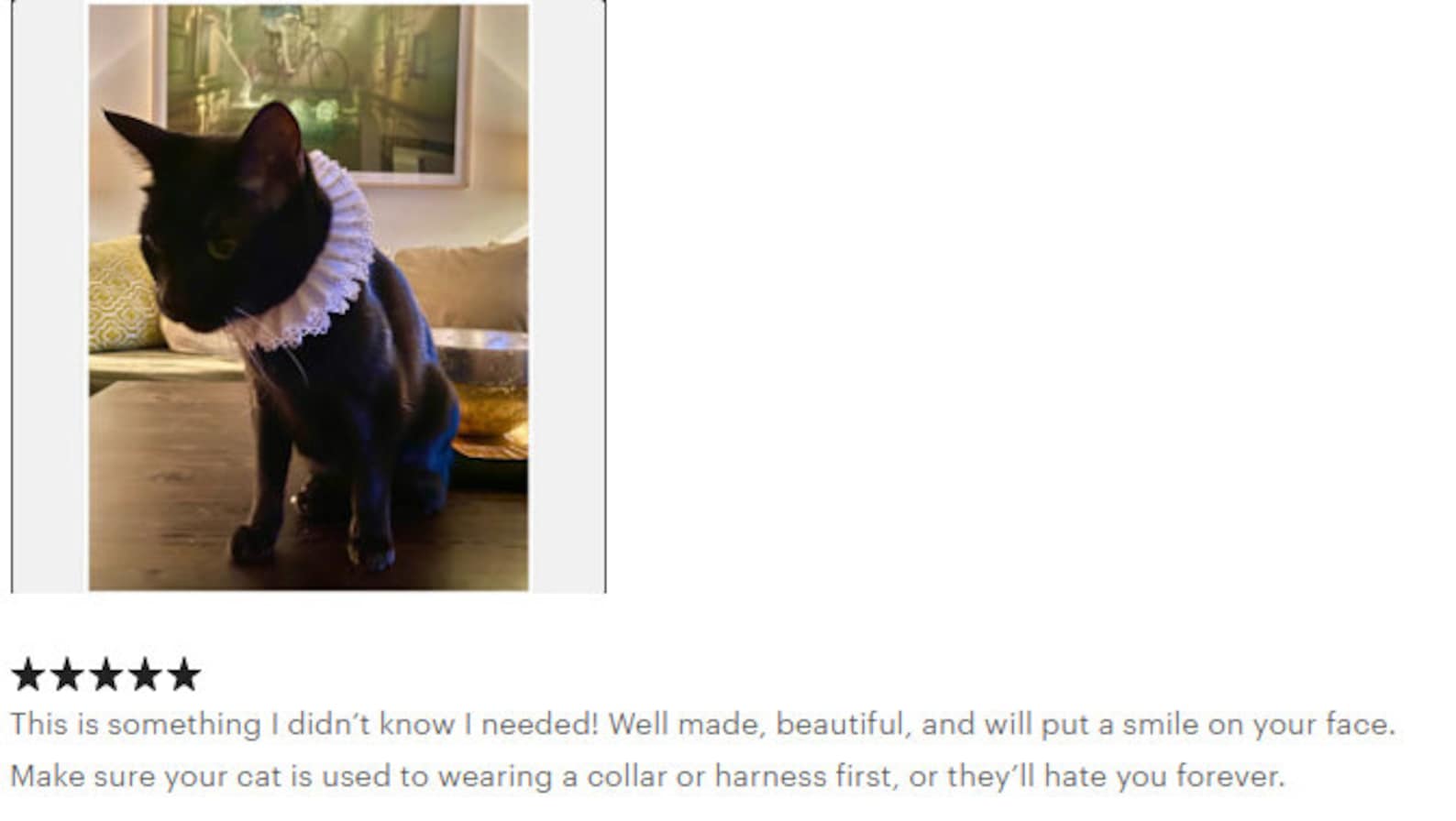 Pet Collar, Small Neck Ruff, Dog Cat, Custom, Renaissance Faire, SCA ...