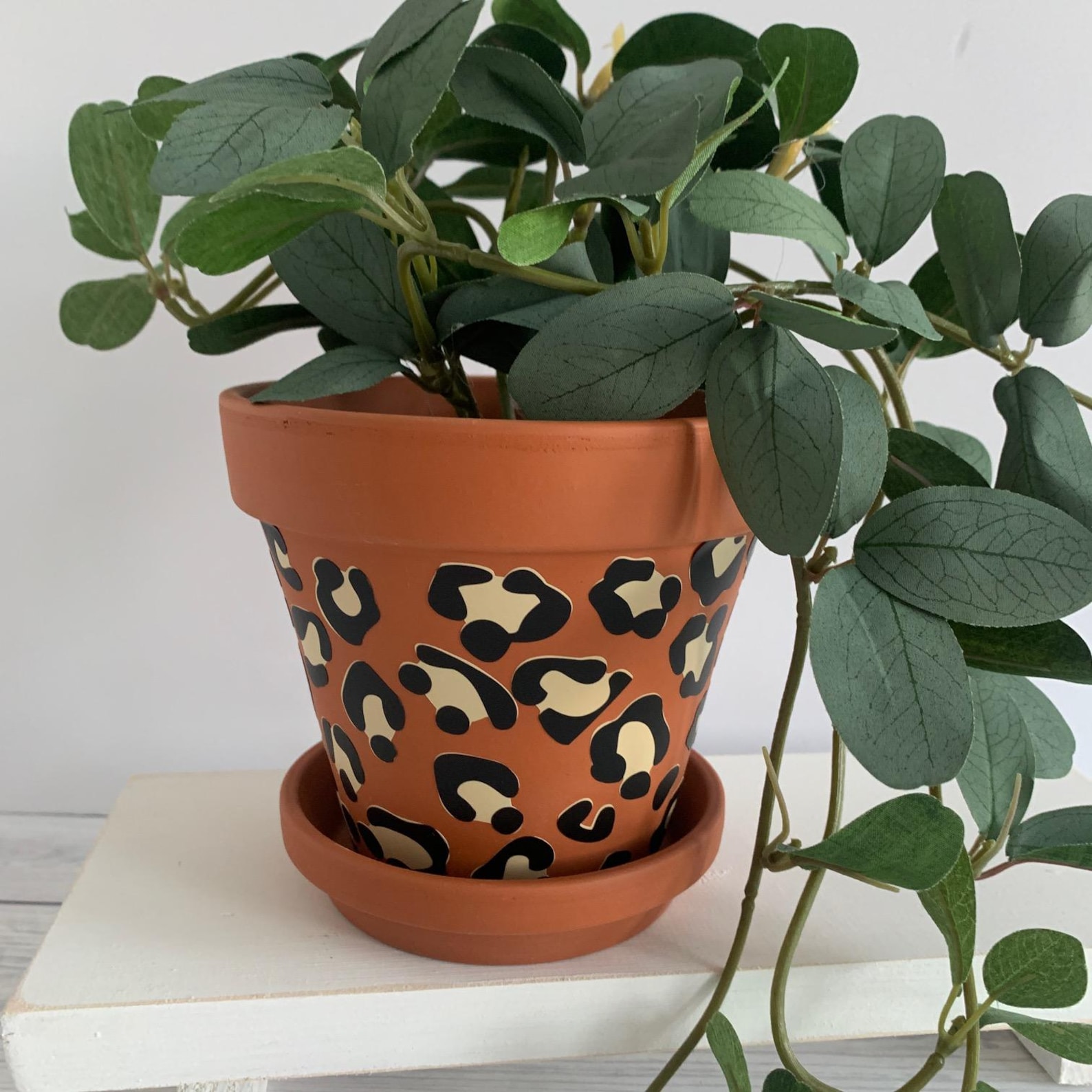 Leopard Print Terracotta Plant Pot: Stylish Home Decor (13 Cm) - Etsy UK