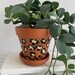 Leopard Print Terracotta Plant Pot: Stylish Home Decor (13 Cm) - Etsy UK