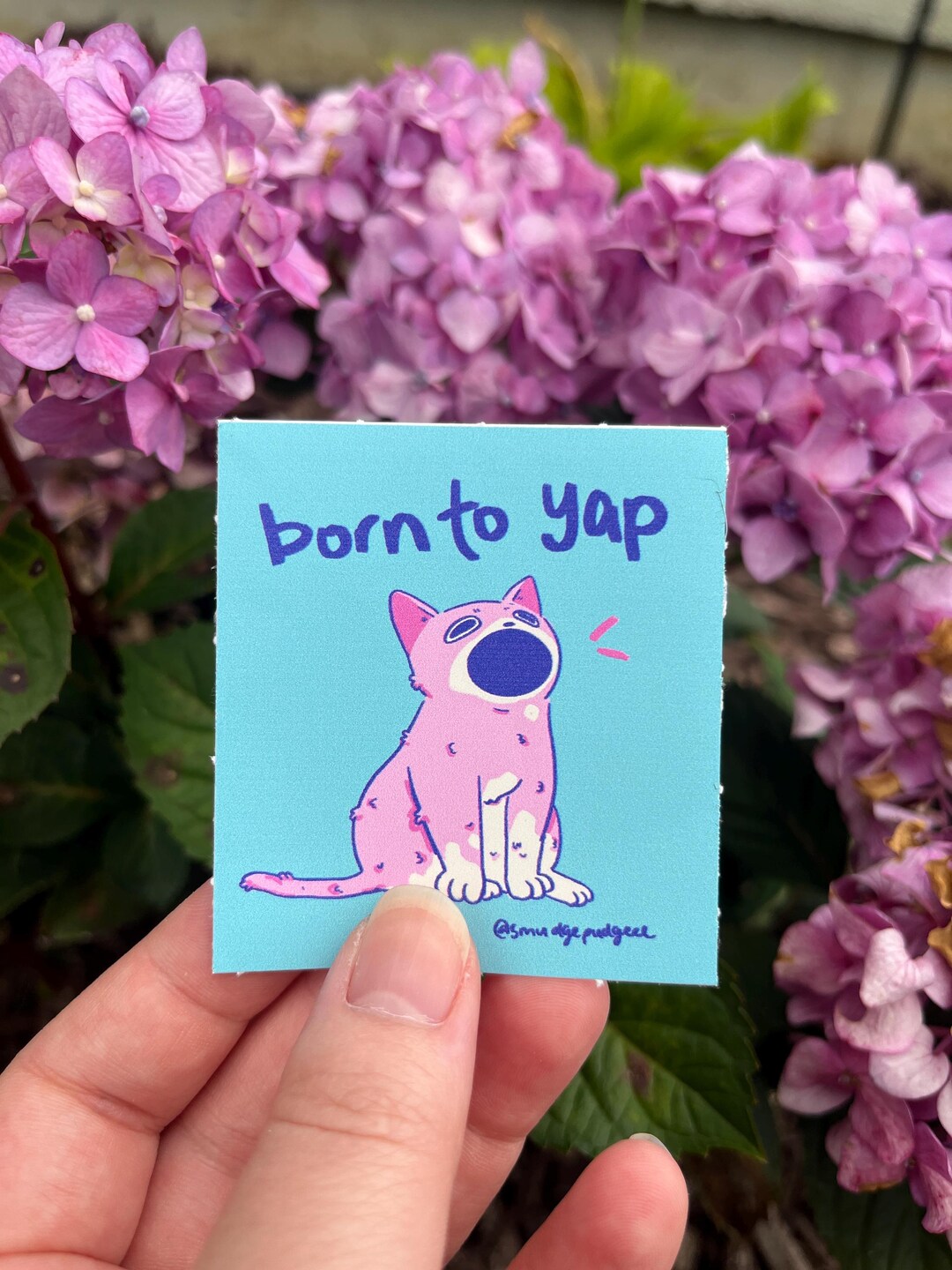 Born to Yap Cat Sticker, Funny Relatable Sticker, Vinyl Stickers ...