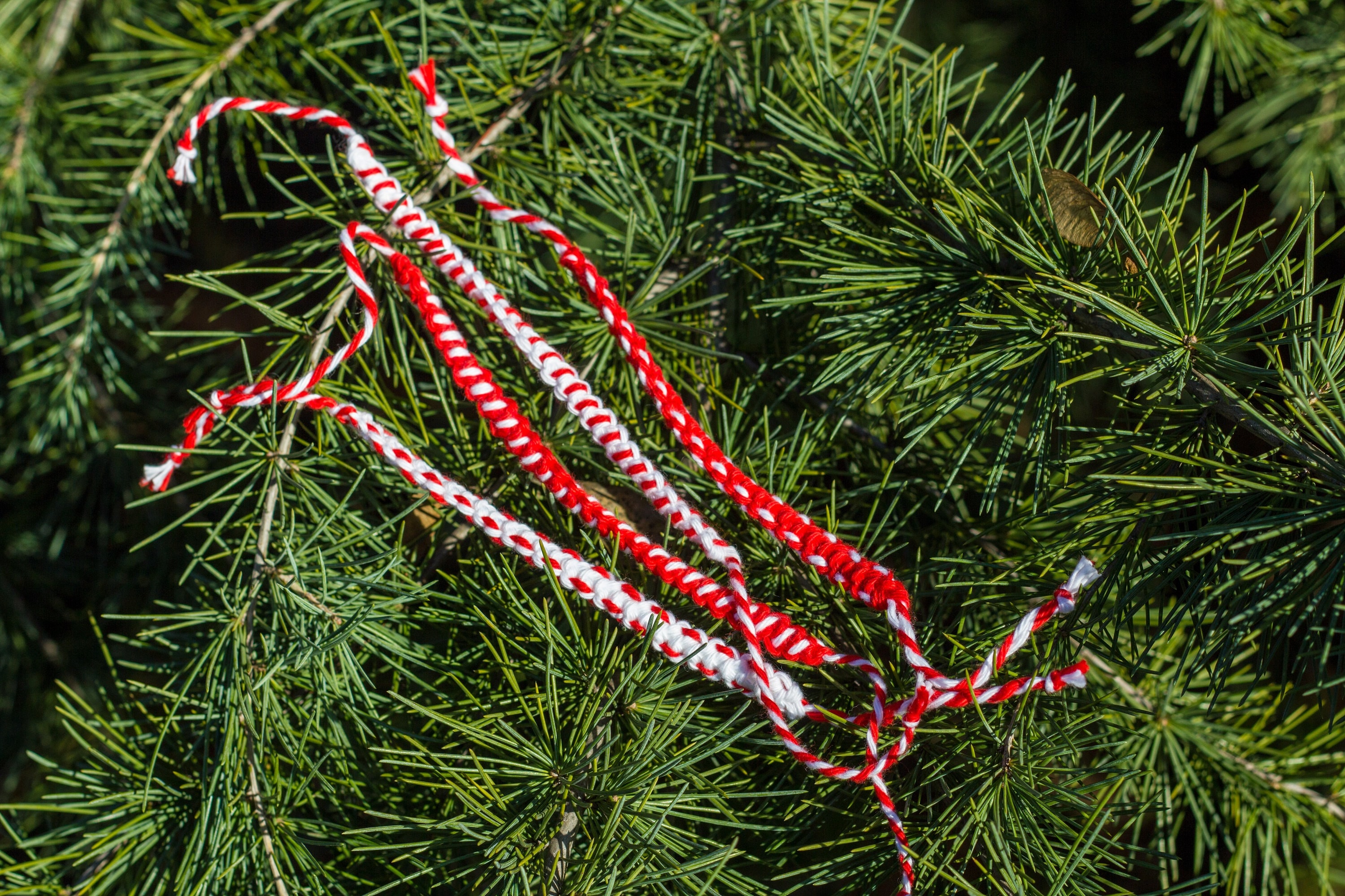 Martenitsi Martenitsa Baba Marta Friendship Armband - Etsy