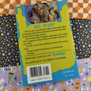 Vintage 1990's R.L. Stine Goosebumps #23, Return of the Mummy Softcover ...
