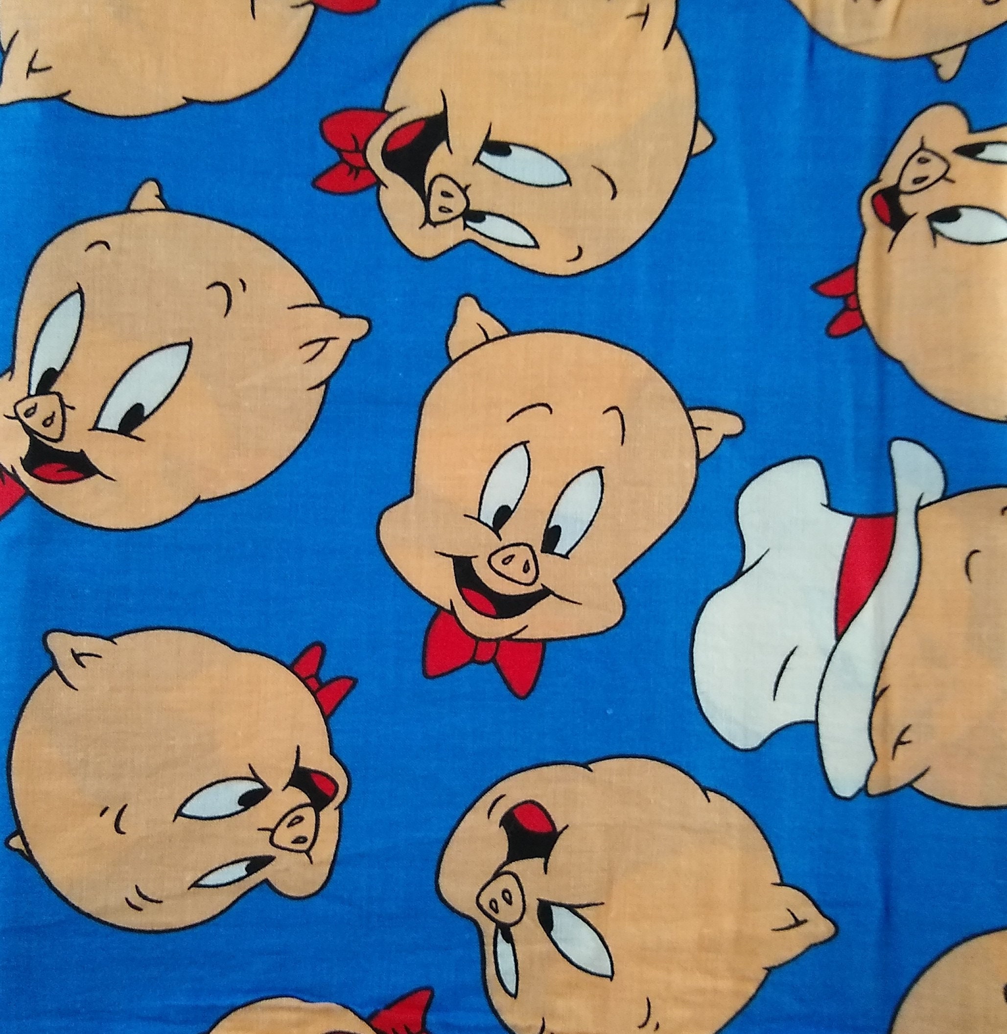 Porky Pig Head
