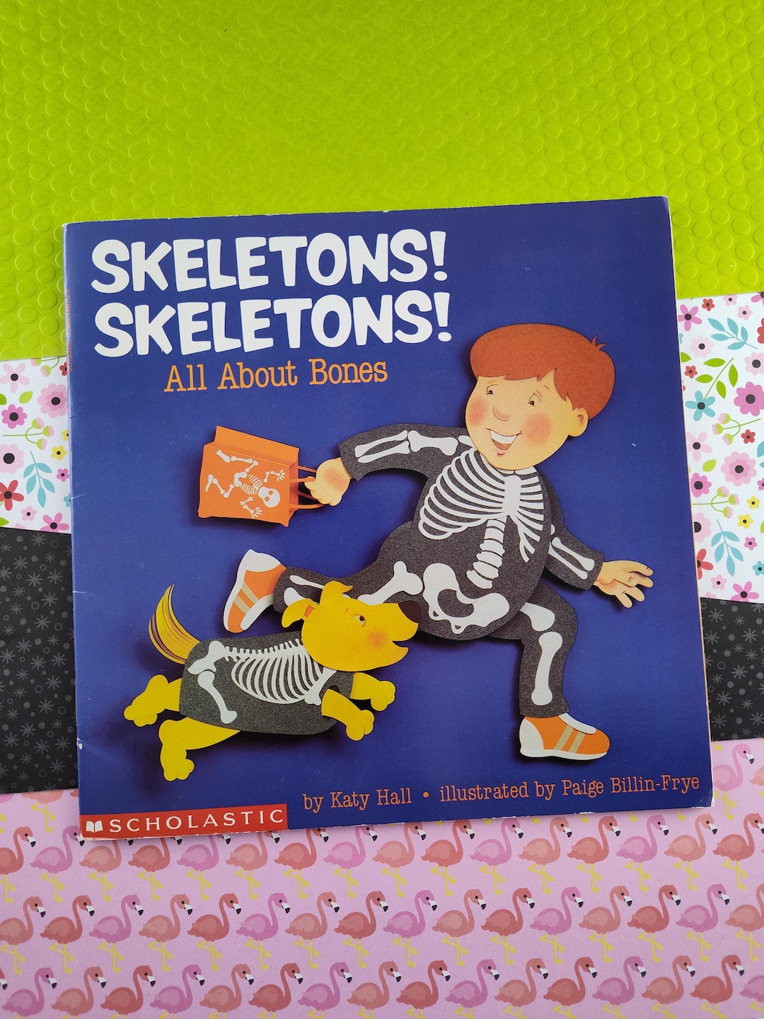 Vintage 1991 Skeletons! Skeletons! All About Bones Scholastic ...