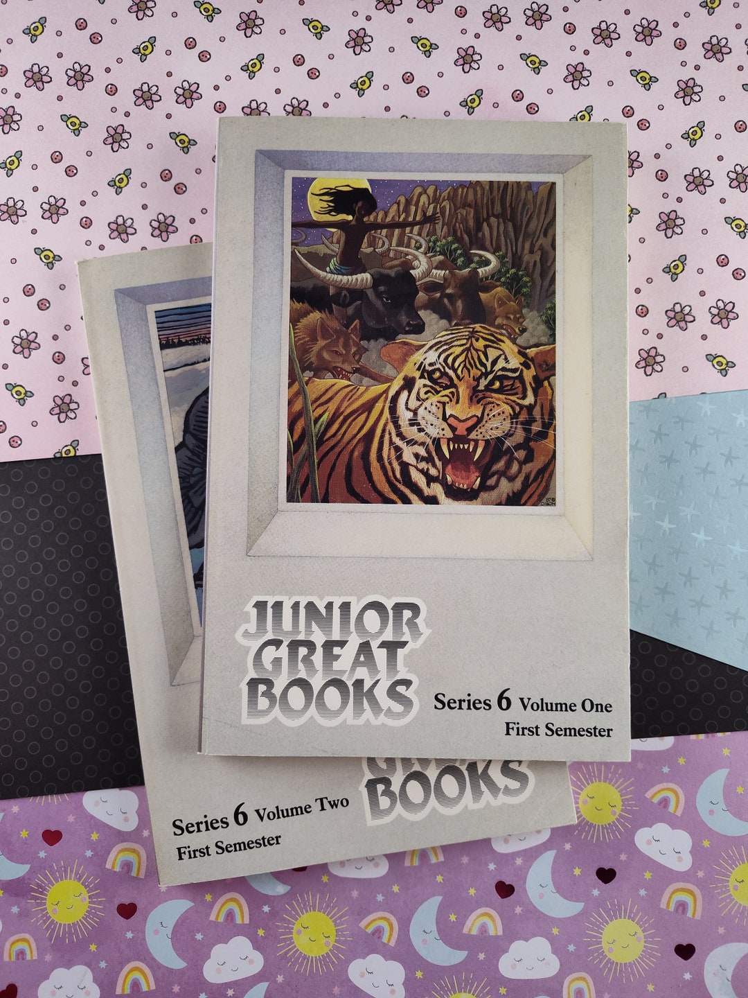 Vintage 1984 Junior Great Books: Series 6, Volumes One + Two Softcover ...