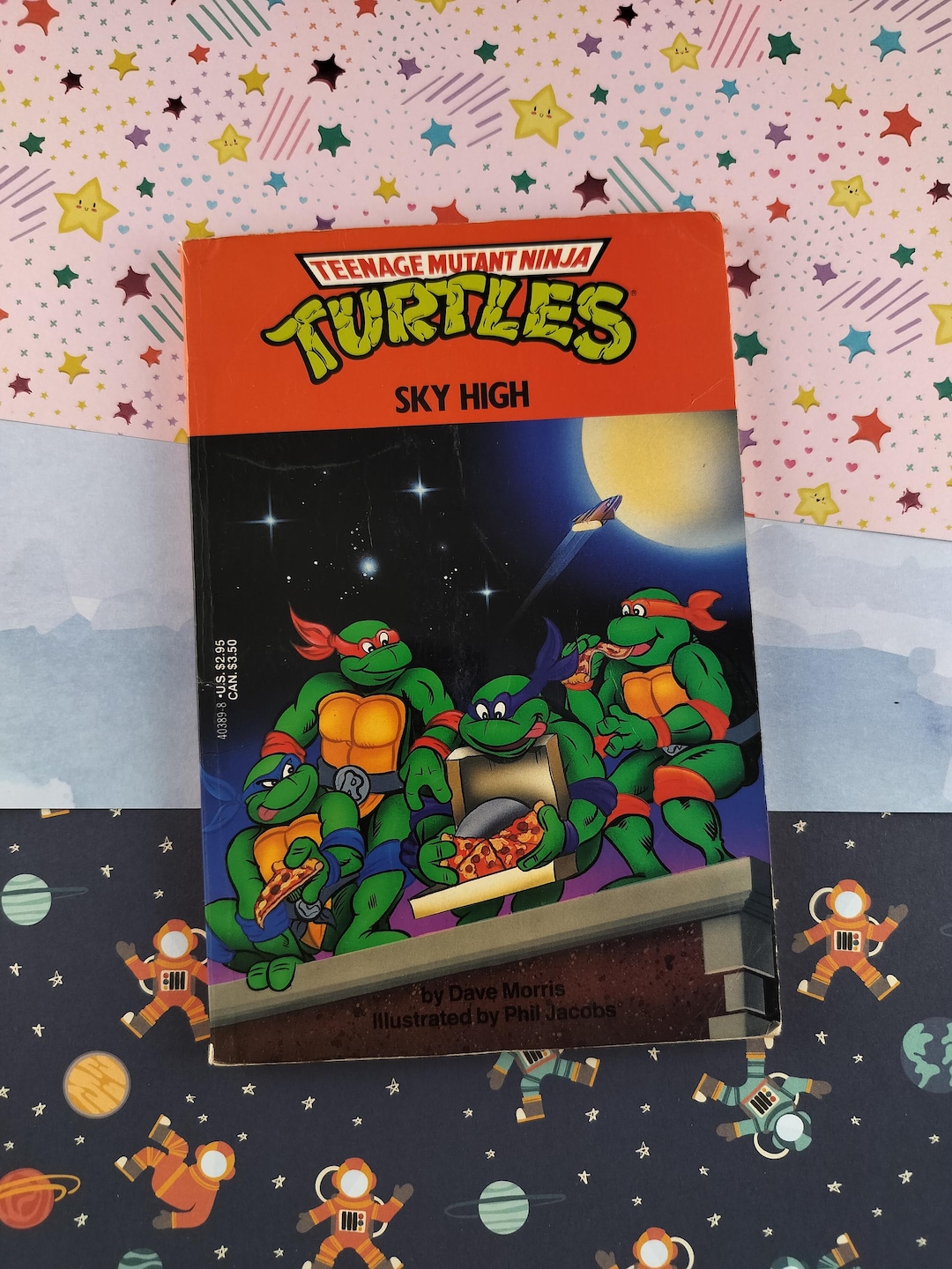 Vintage 1990 Teenage Mutant Ninja Turtles: Sky High Softcover by Dave ...