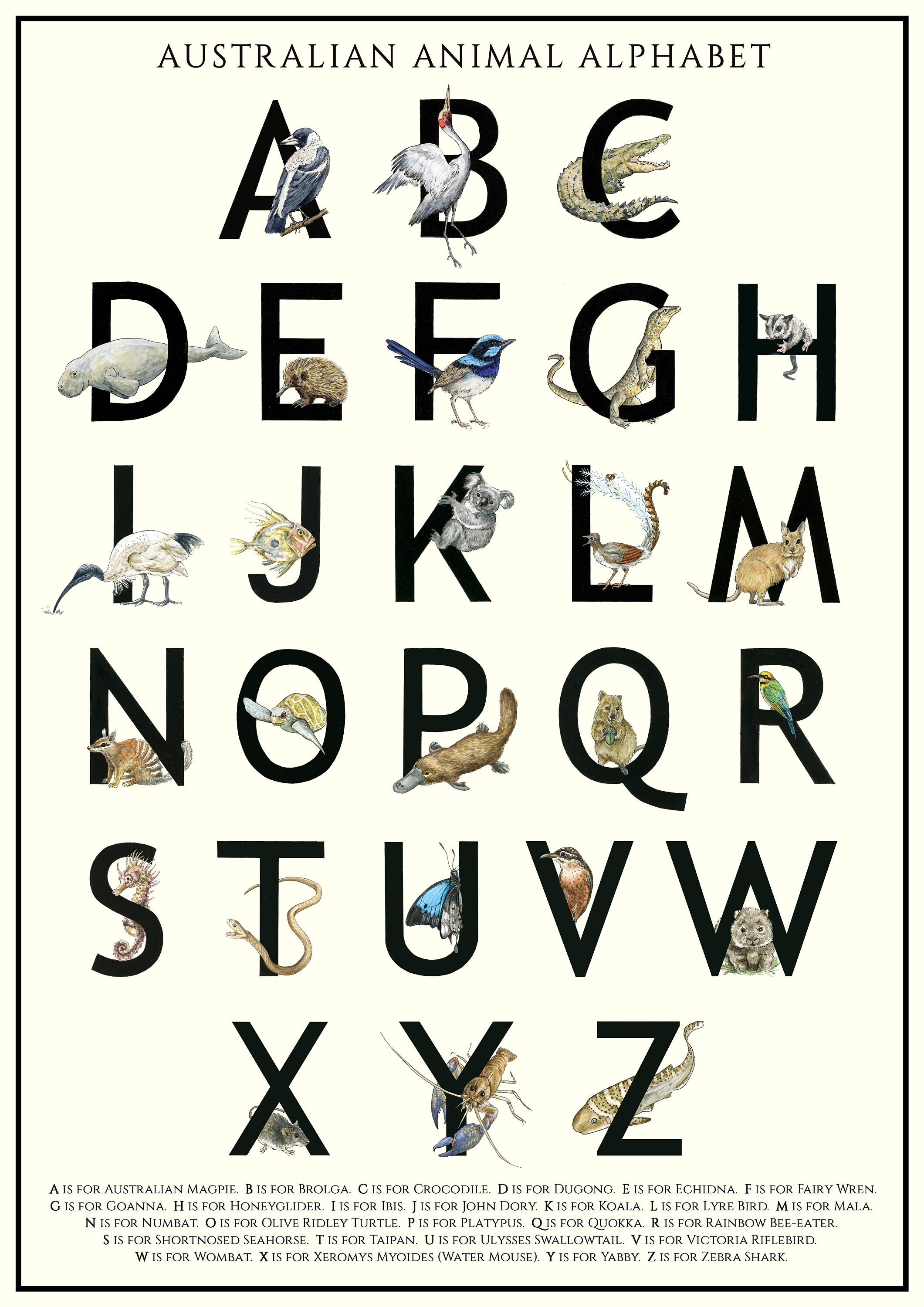 A-Z Australian Animals Print A3 - Etsy