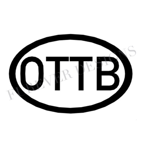 Ottb/thoroughbred/jumper Horse Vinyl Decal - Etsy