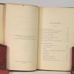 1873 Mrs. Skaggs's Husbands, and Other Sketches by Bret Harte FIRST ...