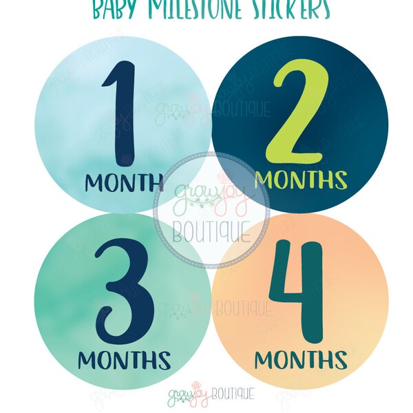 Monthly Stickers Boy - Etsy