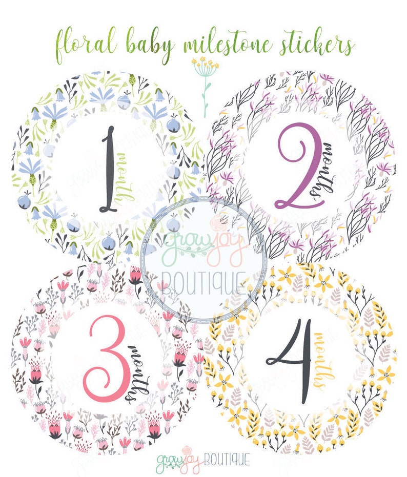 Floral Baby Girl Month Stickers Monthly Milestones Flowers - Etsy
