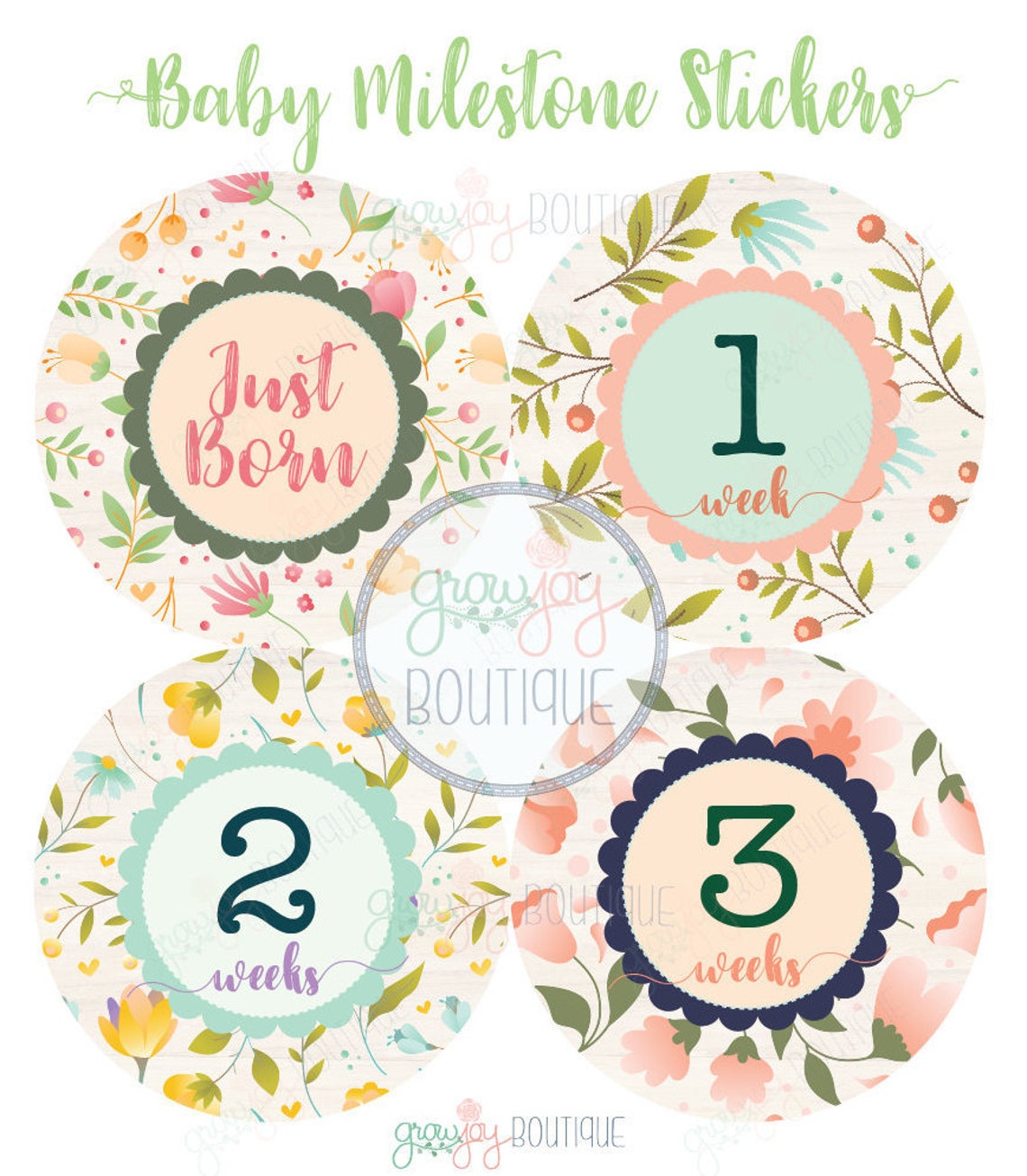 Floral Month Milestone Stickers Baby Girl Baby Month - Etsy