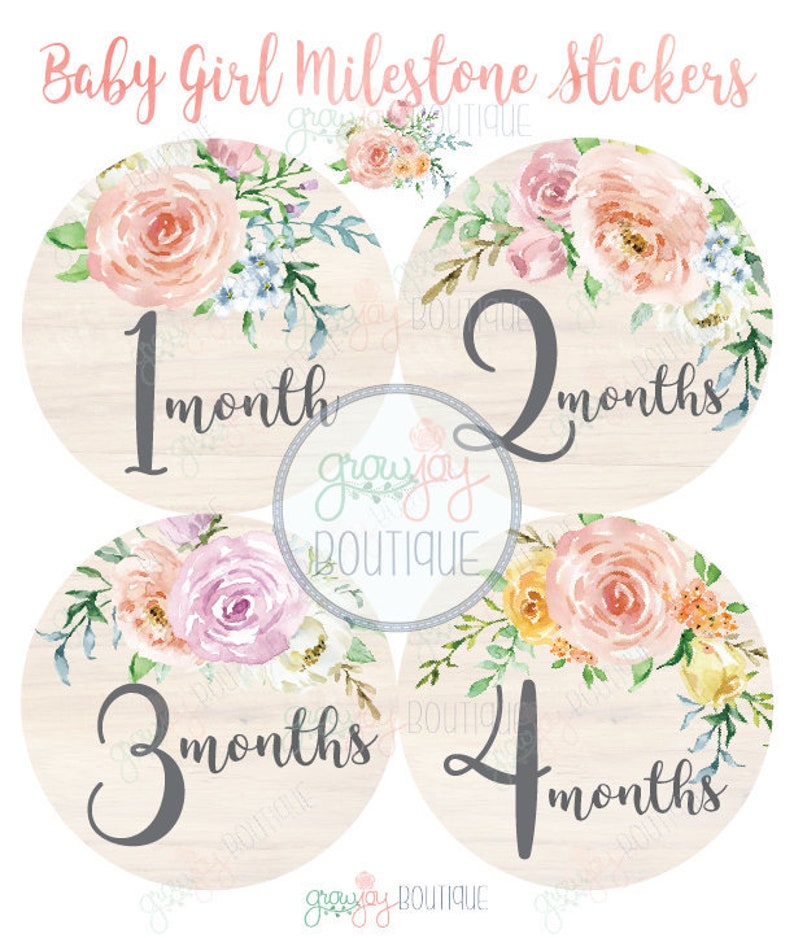 Floral Baby Month Stickers Baby Girl Months Milestone - Etsy