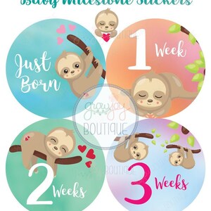 Baby Girl Sloths Months Stickers, Milestone Stickers, Sloth Jungle ...