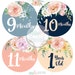 Baby Girl Monthly Stickers Baby Girl Monthly Milestone - Etsy