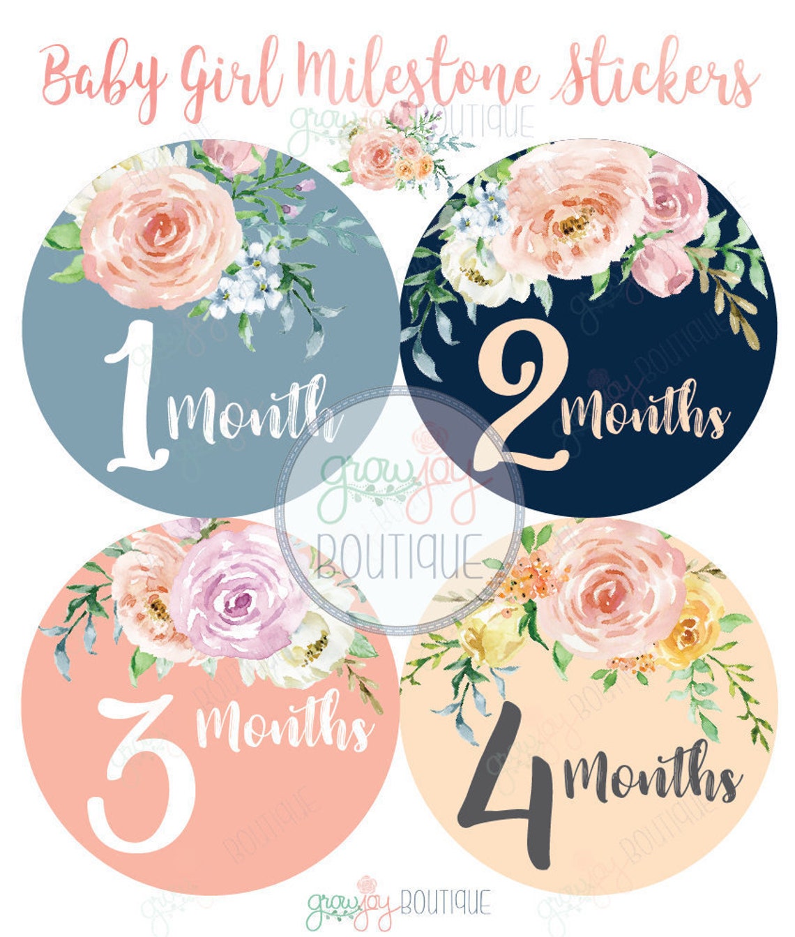 Baby Girl Monthly Stickers Baby Girl Monthly Milestone | Etsy