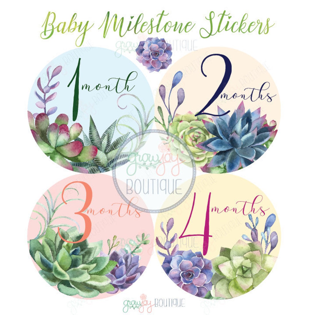 Succulents Month Milestone Stickers, Baby Girl Month Stickers ...
