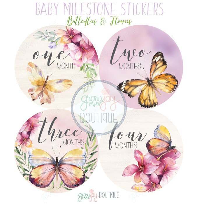 Baby Girl Months Butterfly Baby Girl Monthly Milestones Girl - Etsy