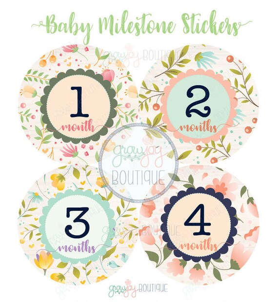 Floral Month Milestone Stickers Baby Girl Baby Month - Etsy