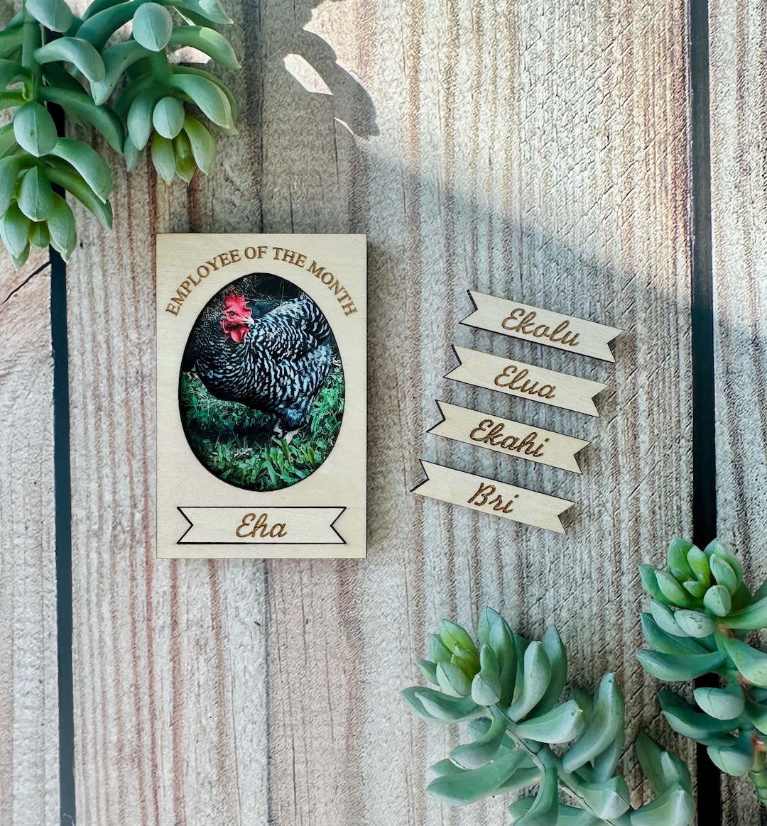 Funny Chicken Employee of the Month Gift, Custom Picture Frame Magnet ...
