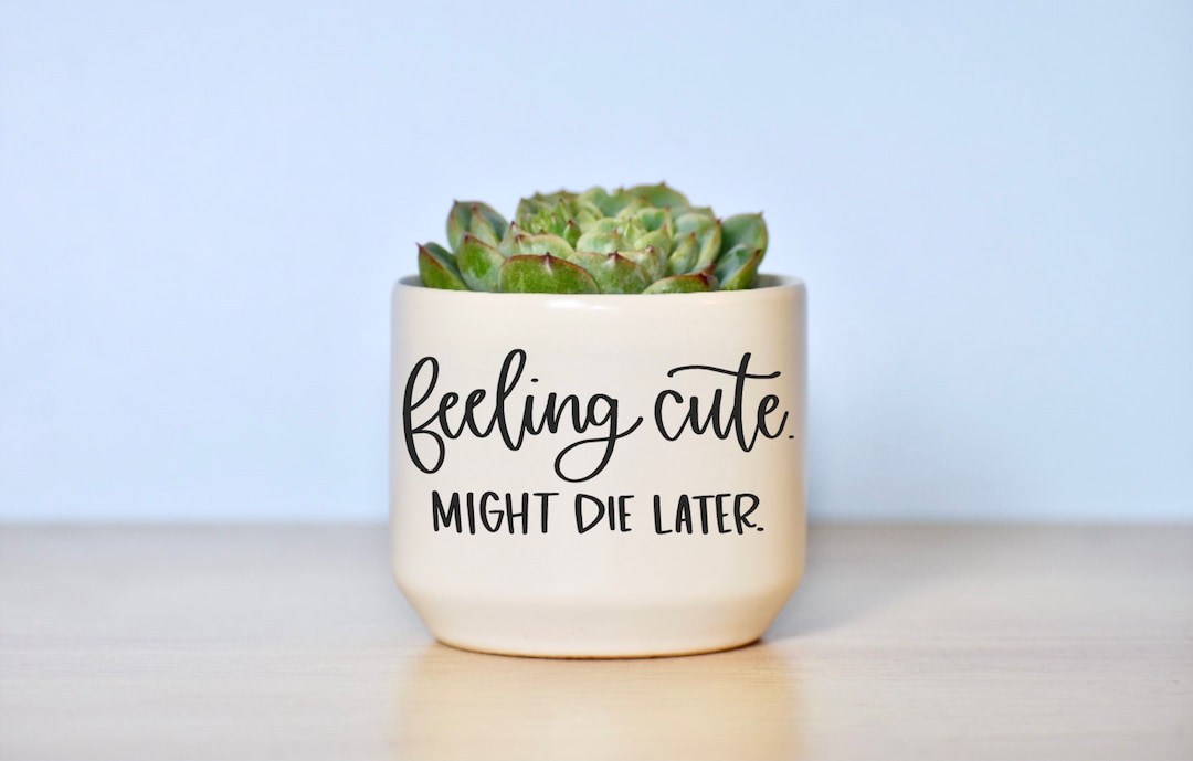 Feeling Cute Might Die Later, Funny Succulent Ceramic Planter, Cactus ...