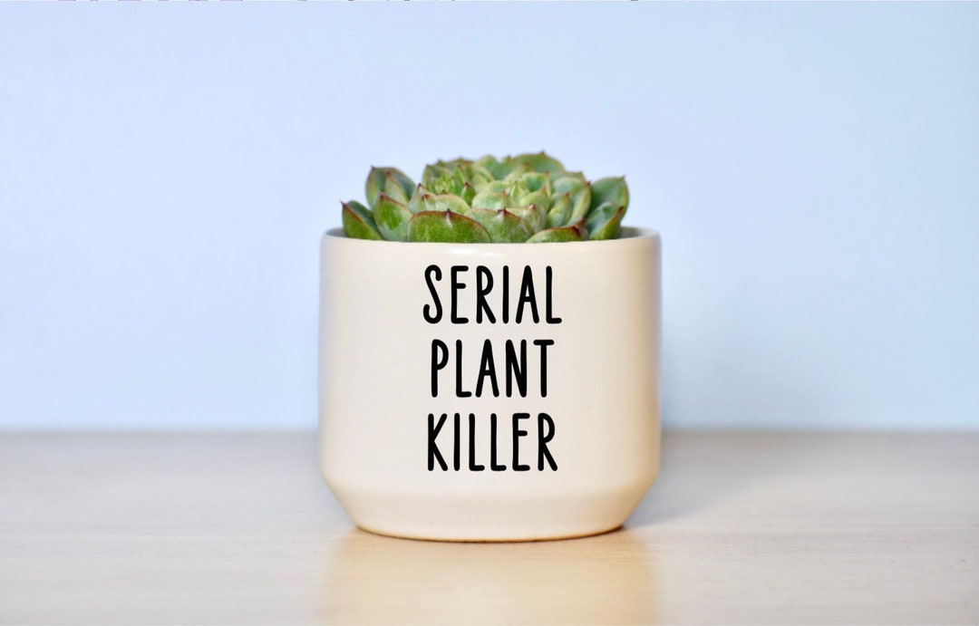 Serial Plant Killer, Funny Succulent Pot, Cactus Planter, Gag Gift ...