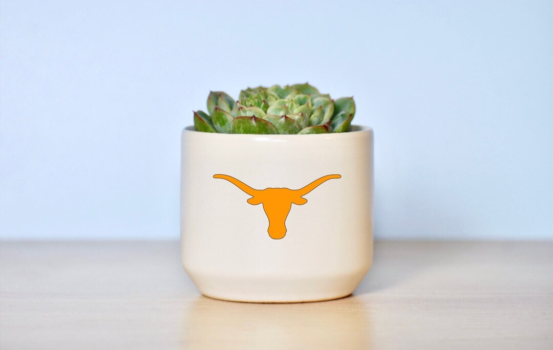 Longhorns Succulent Pot, Cactus Pot, Austin, Texas Graduation, Hook Em ...