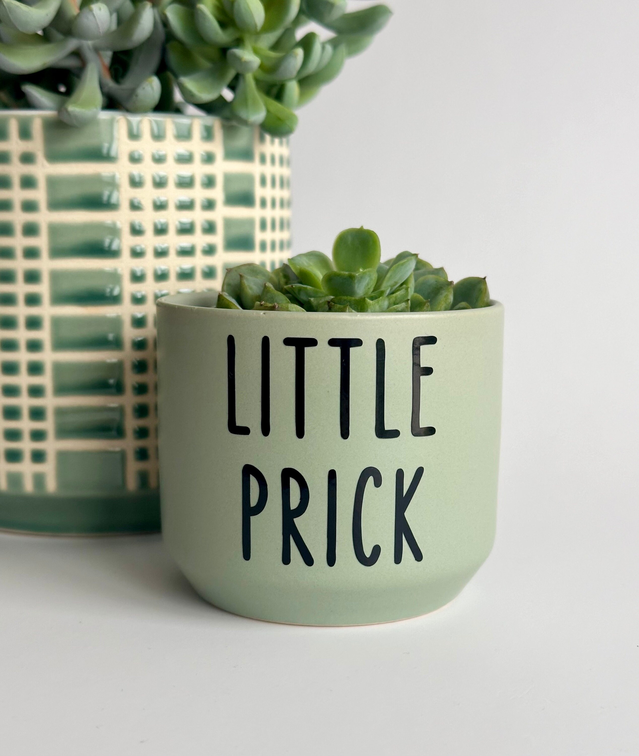Funny Custom Succulent Pot, Custom Ceramic Planter, Gag Gift, Custom ...