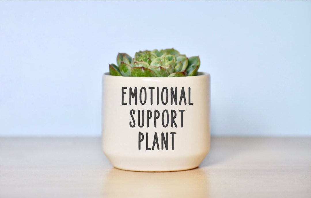Emotional Support Succulent Ceramic Planter, Plant Therapy Gift, Mental ...