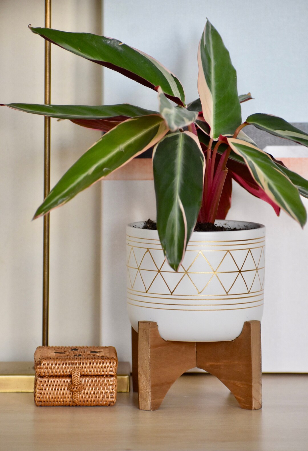 Mid Century Modern Plant Pot With Stand - Etsy