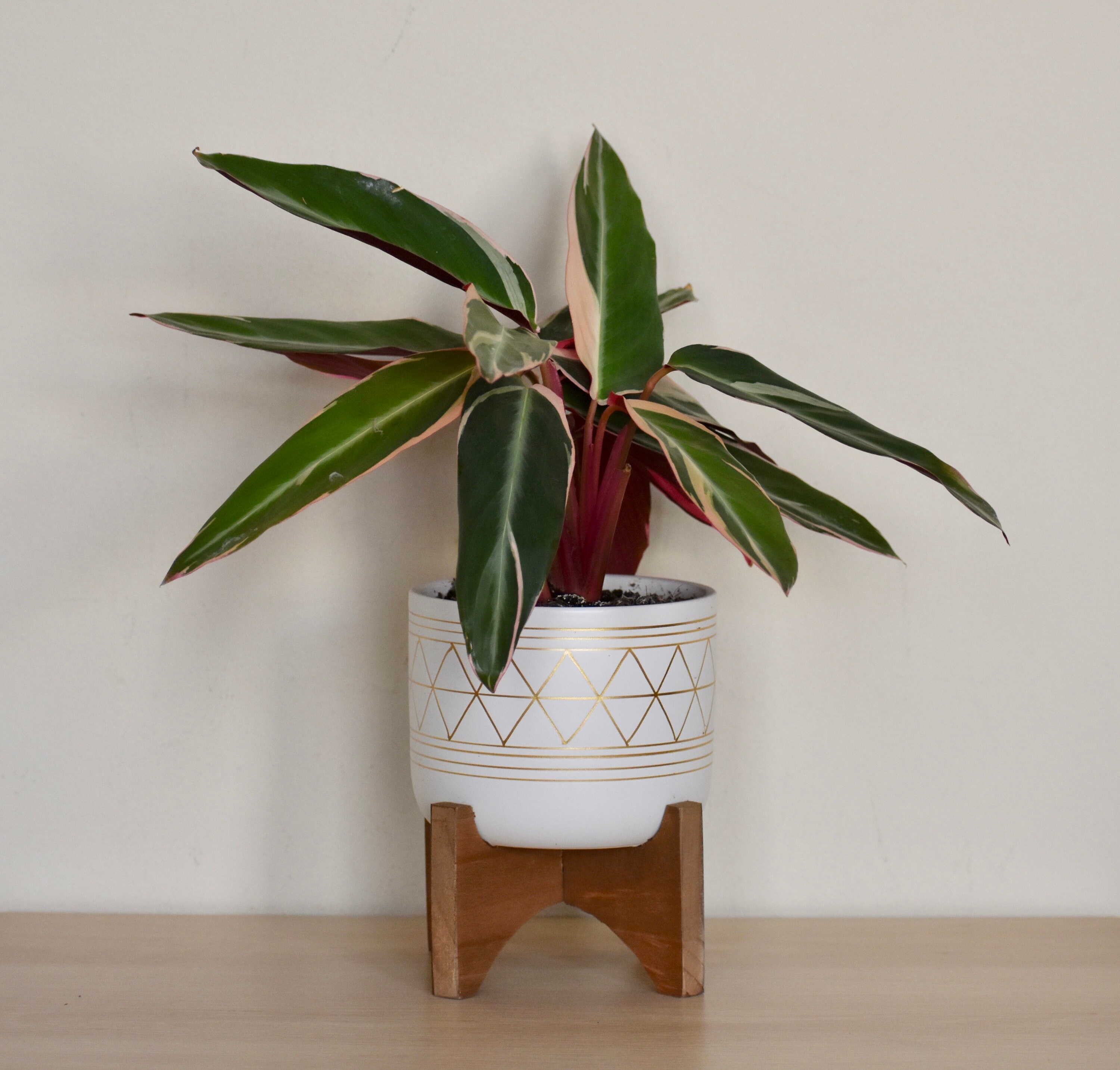 Mid Century Modern Plant Pot With Stand - Etsy