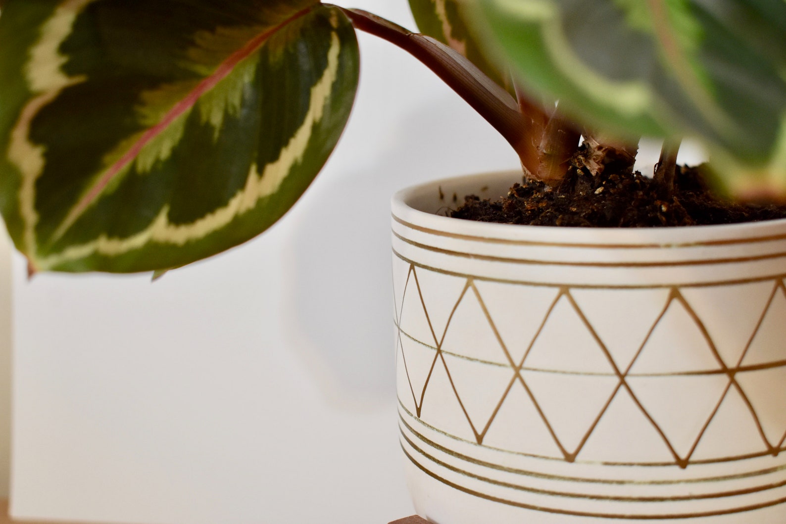 Mid Century Modern Plant Pot With Stand - Etsy