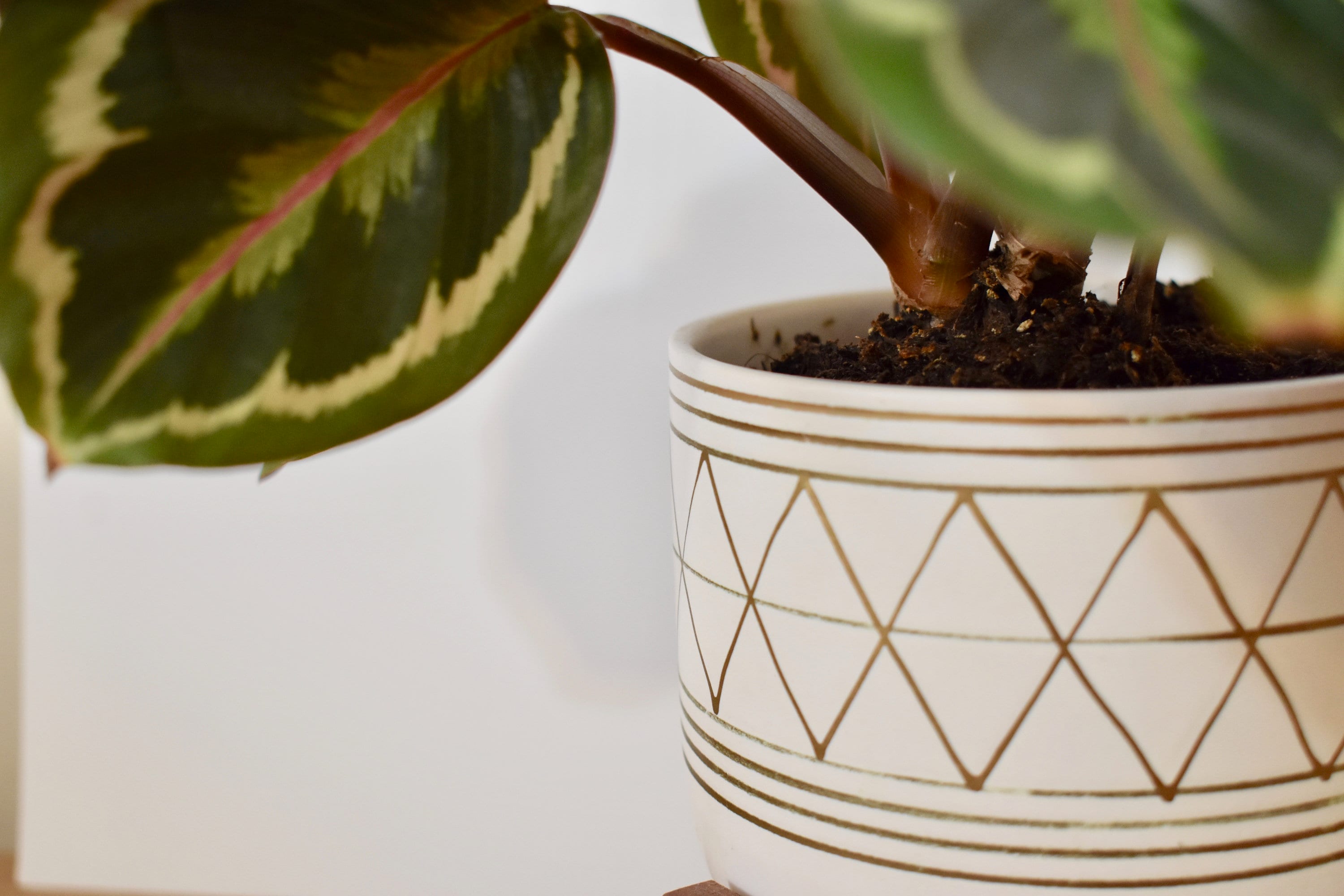 Mid Century Modern Plant Pot With Stand - Etsy