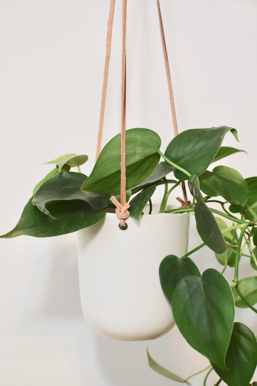 Emily Hanging Planter, Indoor Hanging Pot, Succulent Plant Holder ...
