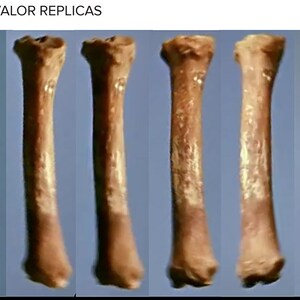 2001: A Space Odyssey Thrown Bone - Etsy