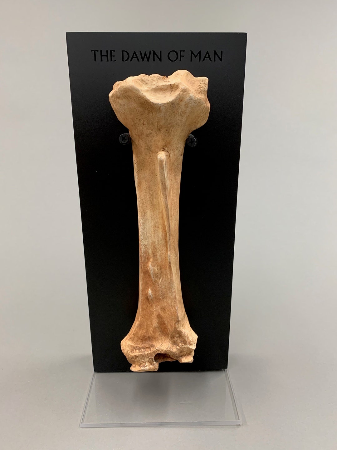 2001: A Space Odyssey Thrown Bone - Etsy