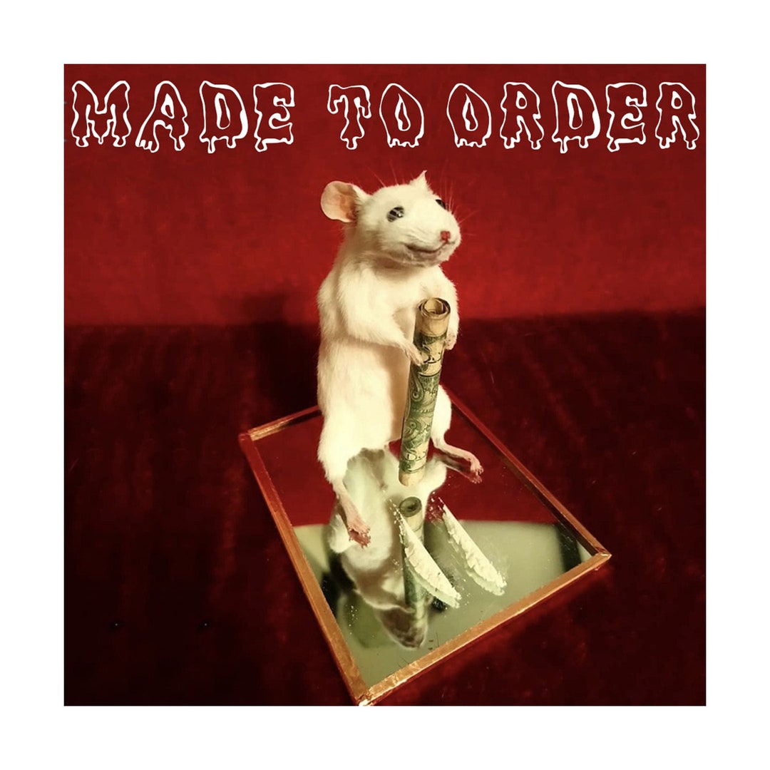 MADE TO ORDER Coke Mouse Taxidermy, Cocaine Mouse With Dollar Bill on ...