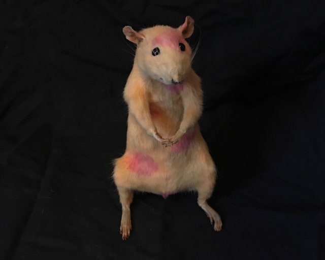 Quickandthedeadshop - Etsy UK